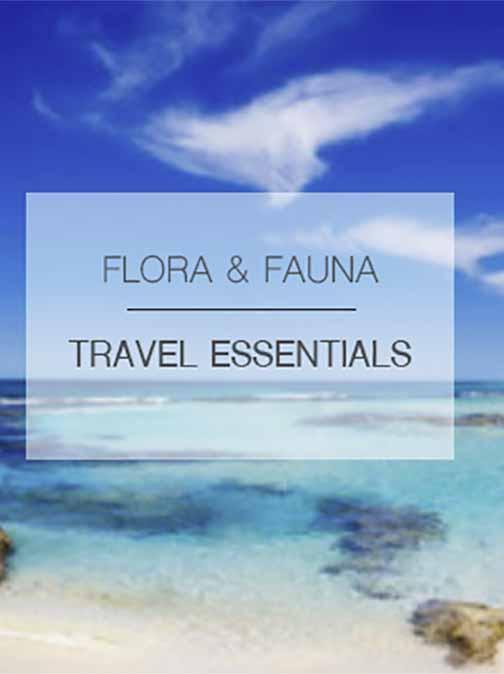 F&F Travel Essentials I Flora & Fauna
