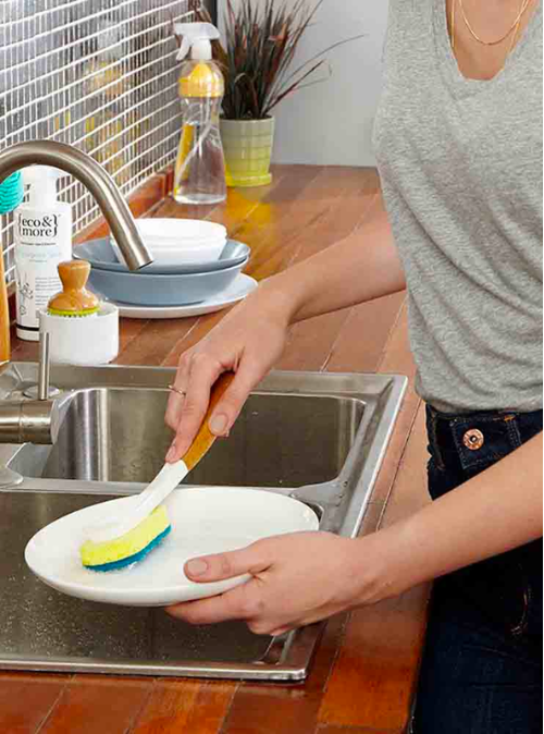 How To Sustainably Wash Your Dishes | Flora & Fauna