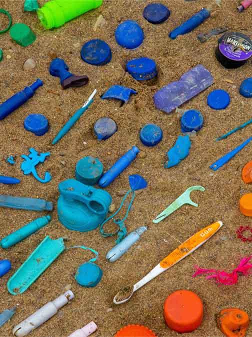 Meet Your Everyday Plastics | Flora & Fauna