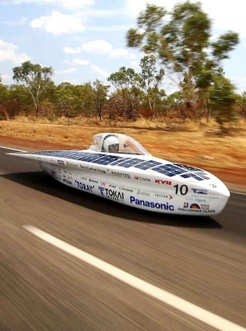World Solar Challenge | Flora & Fauna