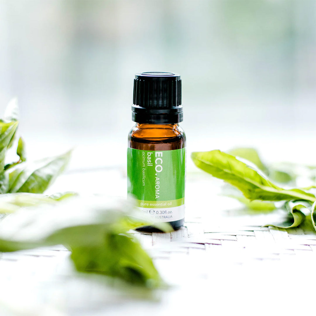 ECO. Modern Essentials Basil Pure Essential Oil | Flora & Fauna AU
