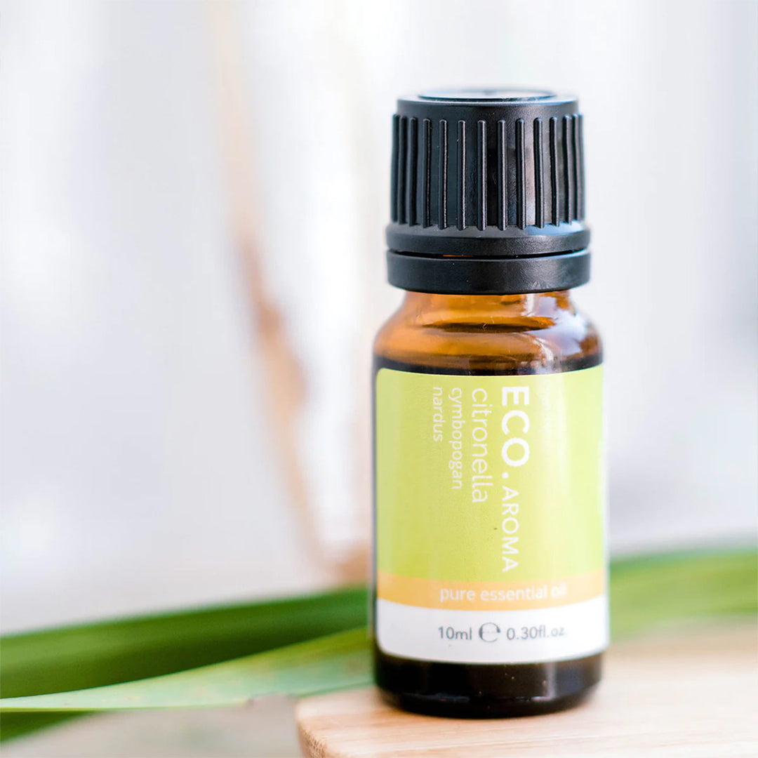 ECO. Modern Essentials Citronella Pure Essential Oil | Flora & Fauna AU