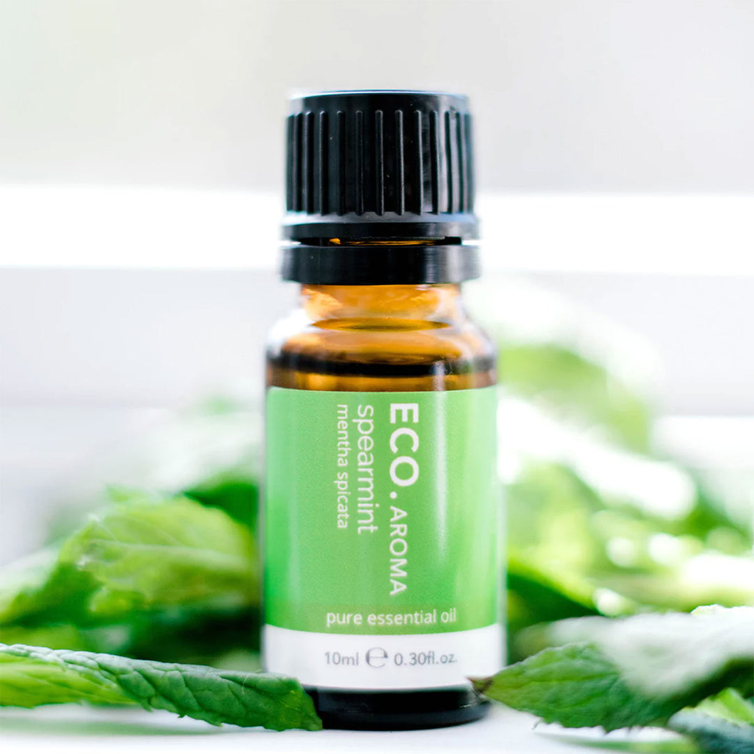 ECO. Modern Essentials Spearmint Pure Essential Oil | Flora & Fauna AU