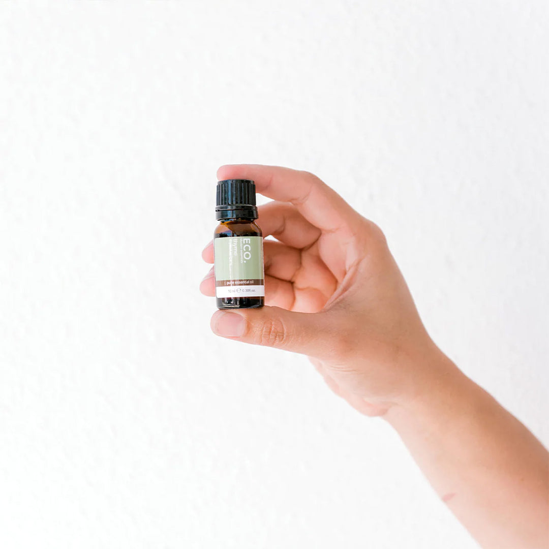 ECO. Modern Essentials Thyme Pure Essential Oil | Flora & Fauna AU