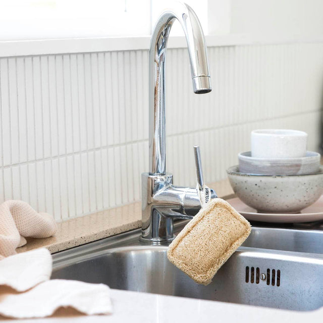 Ever Eco Loofah Dish Sponges | Flora & Fauna AU