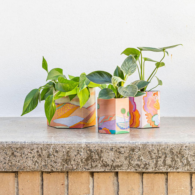 Pop Up Pot – Flora & Fauna
